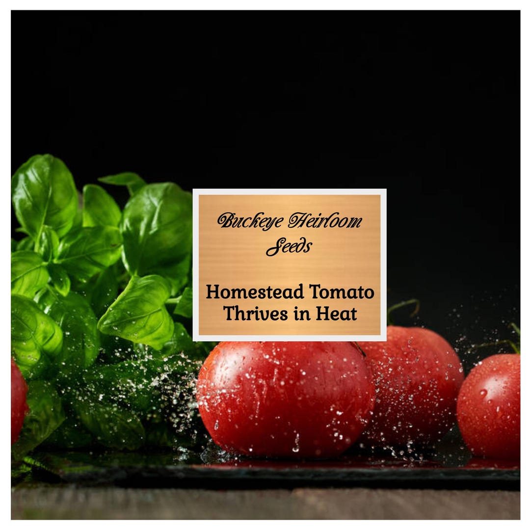 NEW - Tomato - Homestead - Tomato Seeds - Heirloom - Thrives in Heat ...