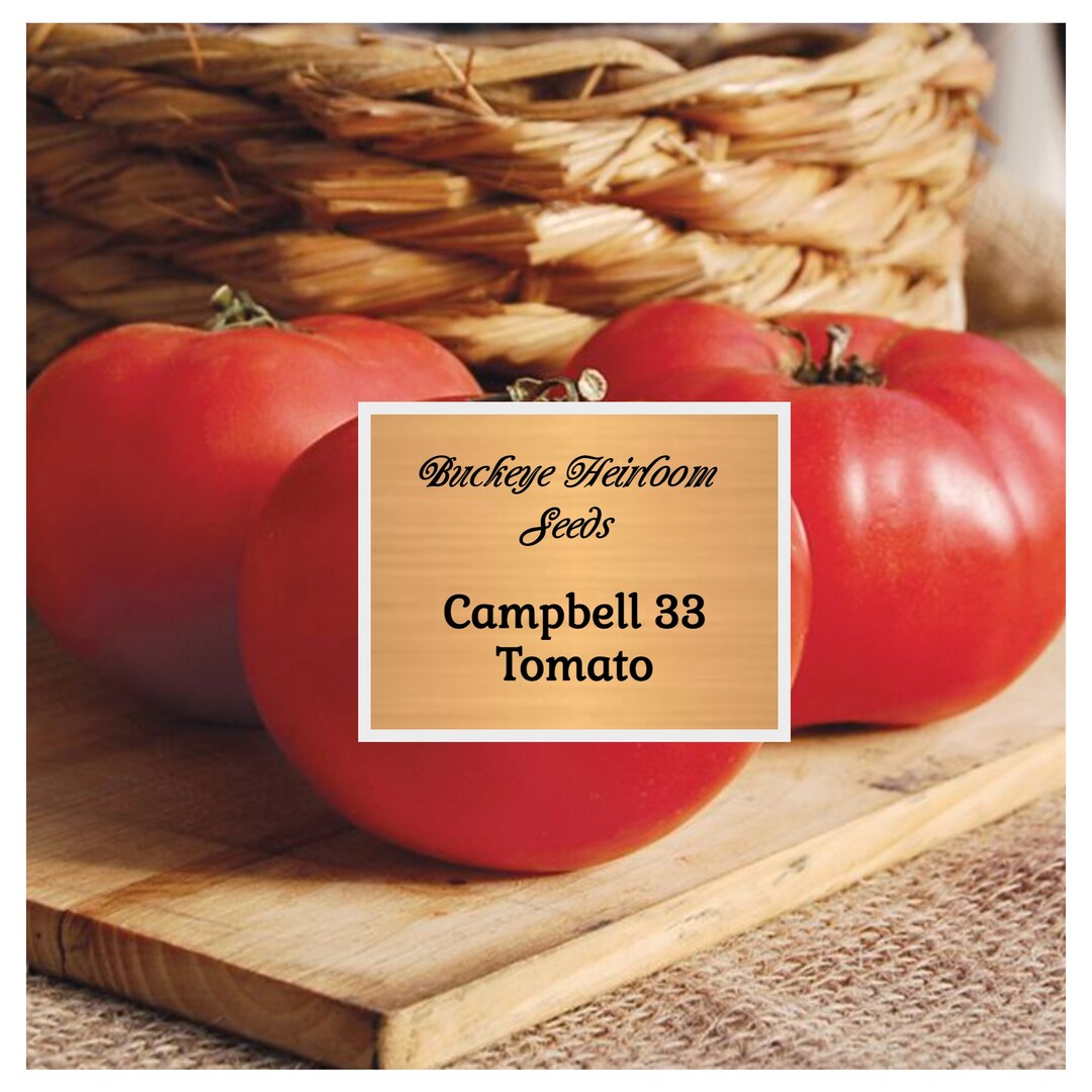 Tomato - Campbells 33 - Tomato Seeds - Heirloom - Originally Developed by Campbells Soup - Non ...