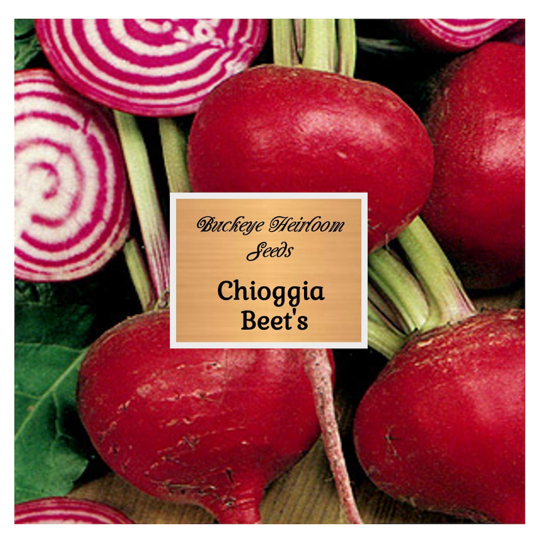 Chioggia Beet - Seeds - Heirloom - Grow Unique - Rare Red Striped Beets ...