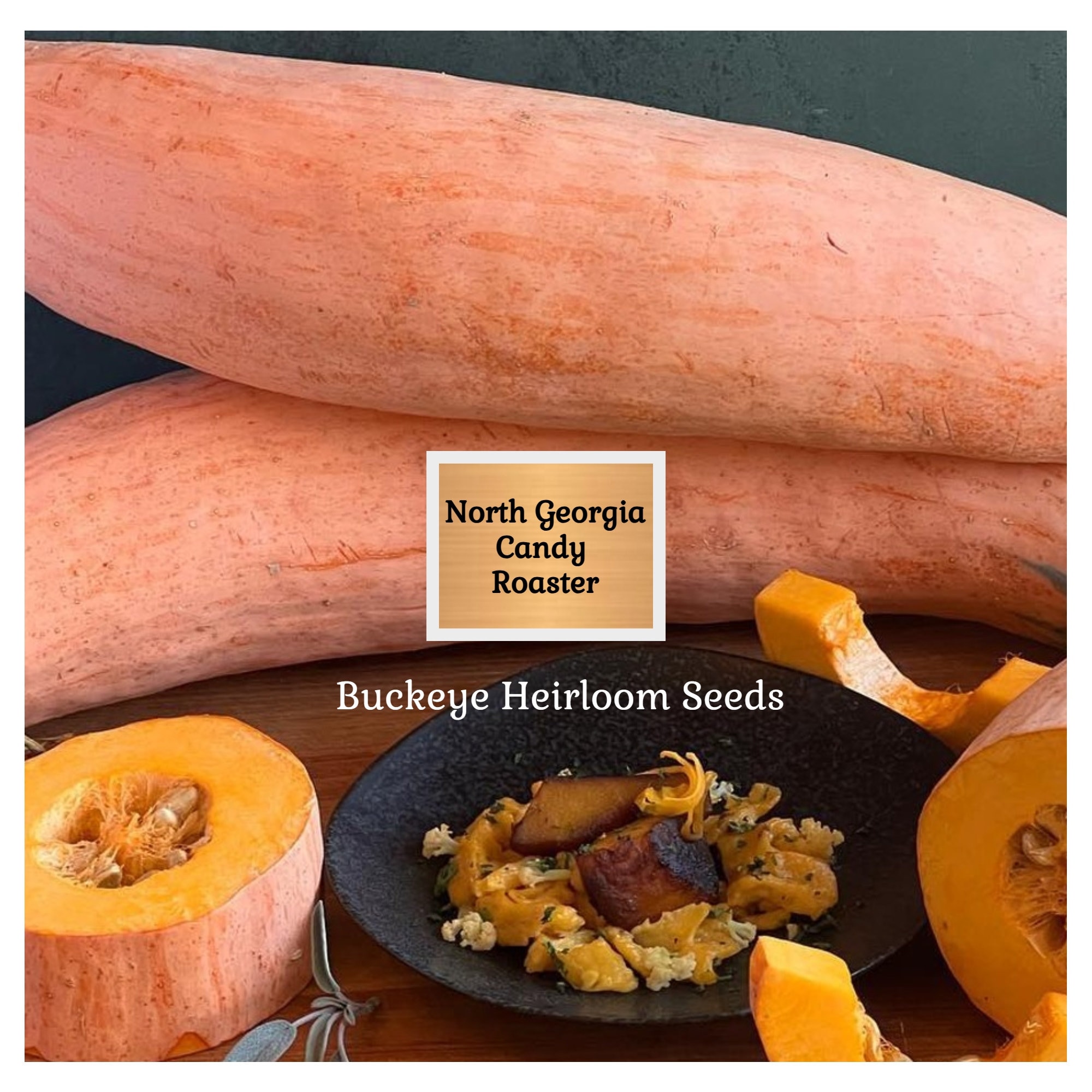 North Georgia Candy Roaster Seeds, Georgia Pumpkin, Winter Squash, Non ...