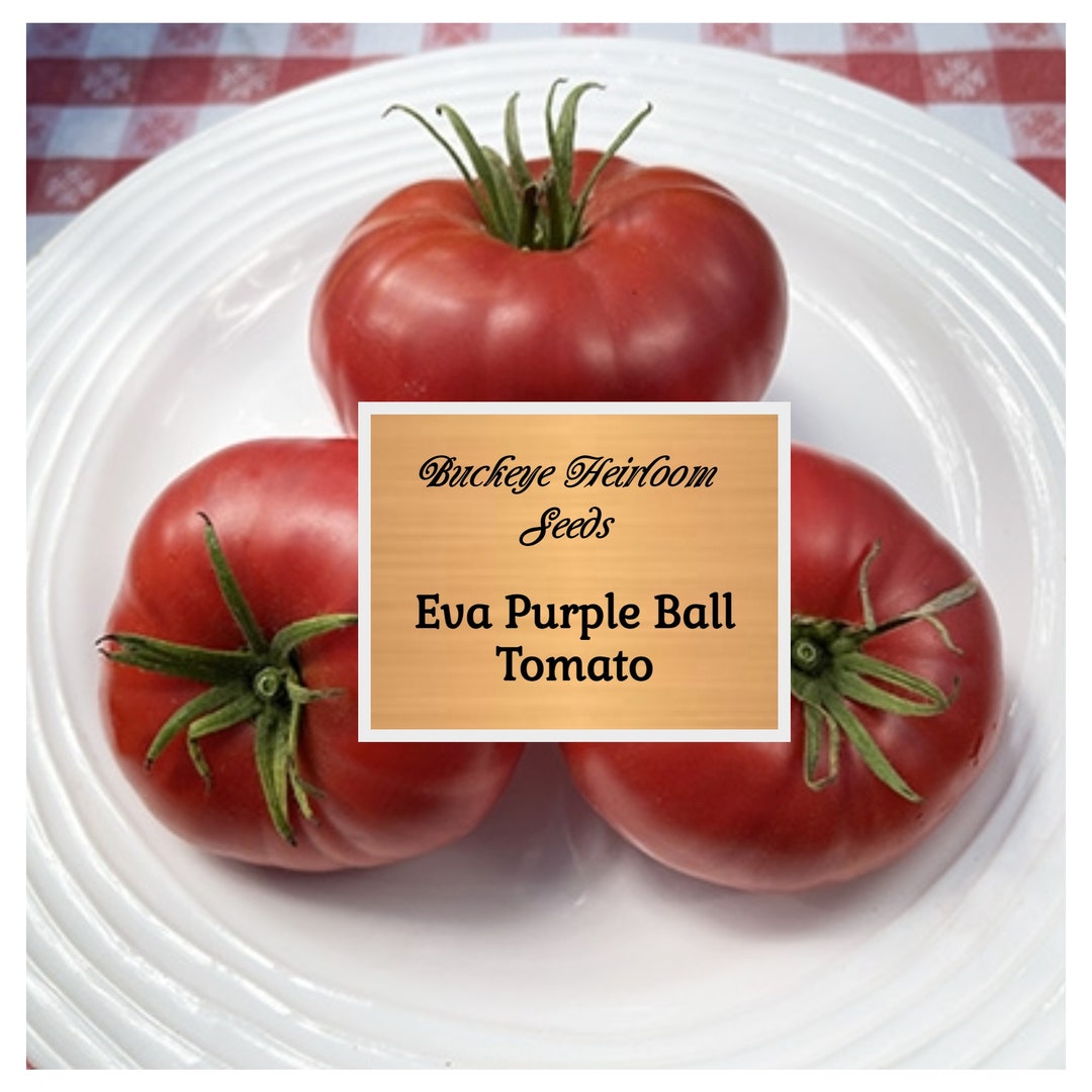 Eva Purple Ball Tomato Seeds – Heirloom, Non GMO - Etsy