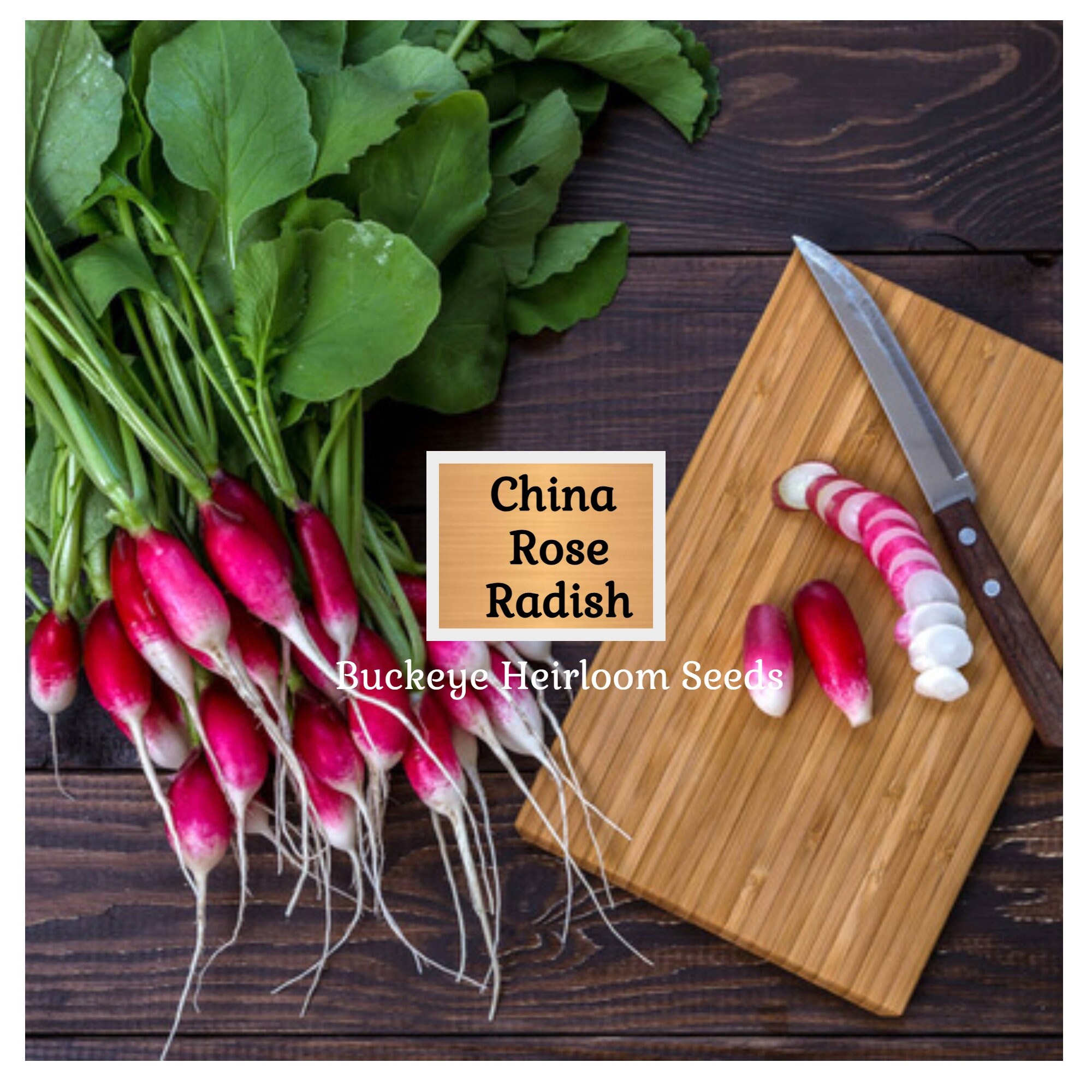 Radish China Rose Seed - (raphanus Sativus) - Heirloom - Non Gmo ...
