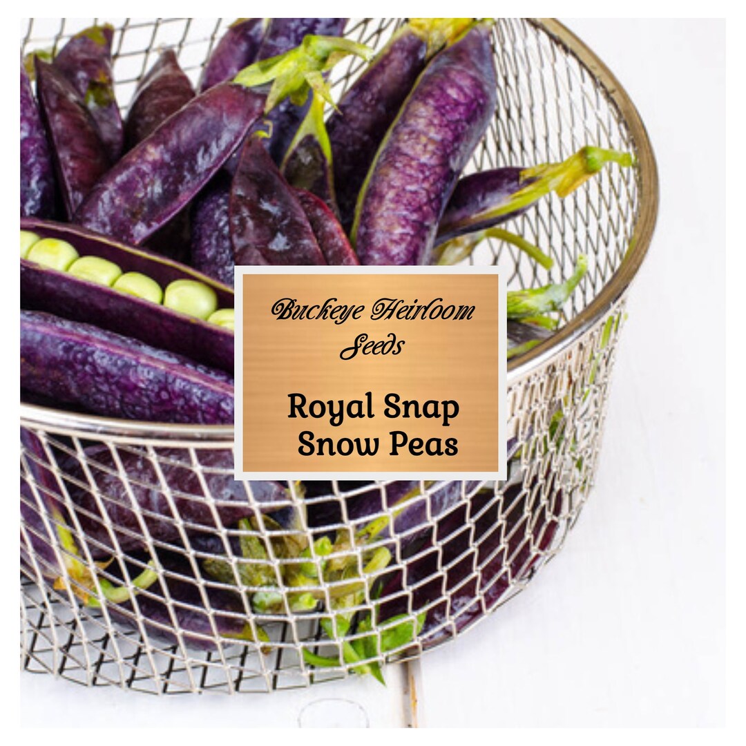 Royal Snap Snow Peas - Seeds - Summer for Fall Harvest - Heirloom - GMO ...