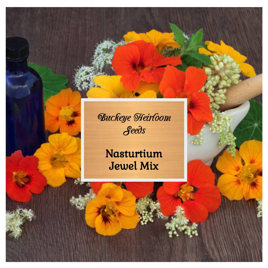 Nasturtium, Jewel Mix - 30 Seeds - Heirloom (tropaeolum Nanum ...