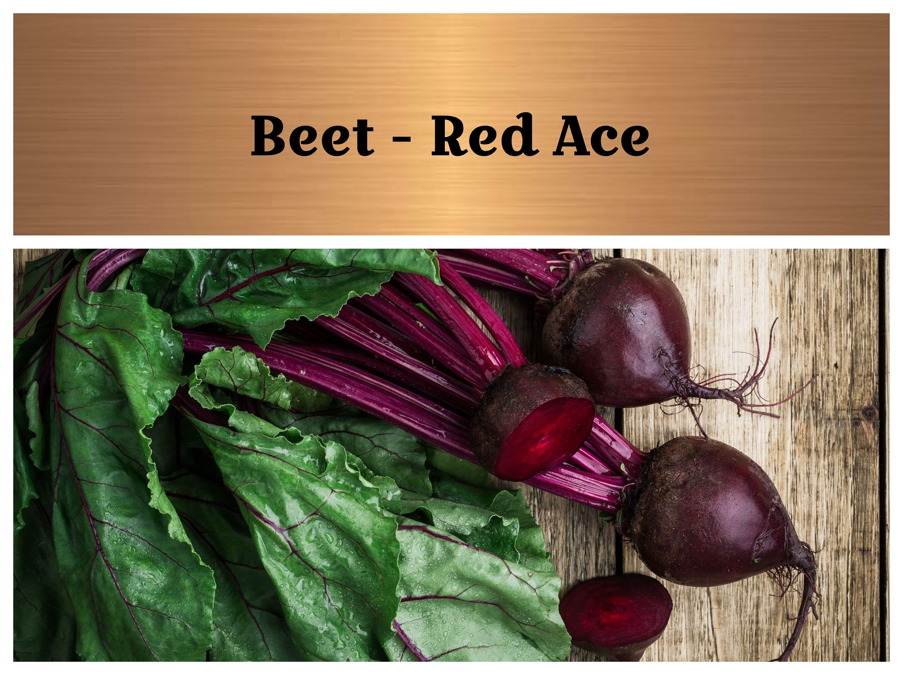 Beet Red Ace Seeds Workhorse Standard Red Beet | Etsy