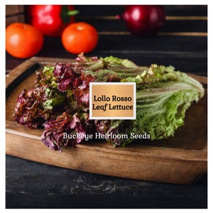 Lollo Rossa Leaf Lettuce - 200 Seeds - Heirloom - Non-gmo - Organic ...