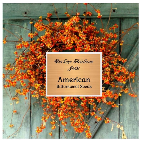 Bittersweet Garland - Etsy