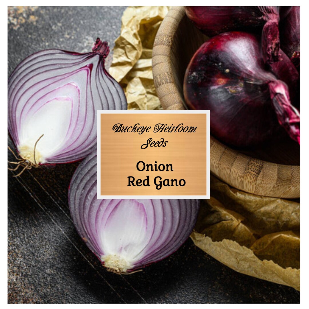 Red Grano Onion - Heirloom Seeds - Non Gmo - Buckeye Heirloom Seeds - Etsy