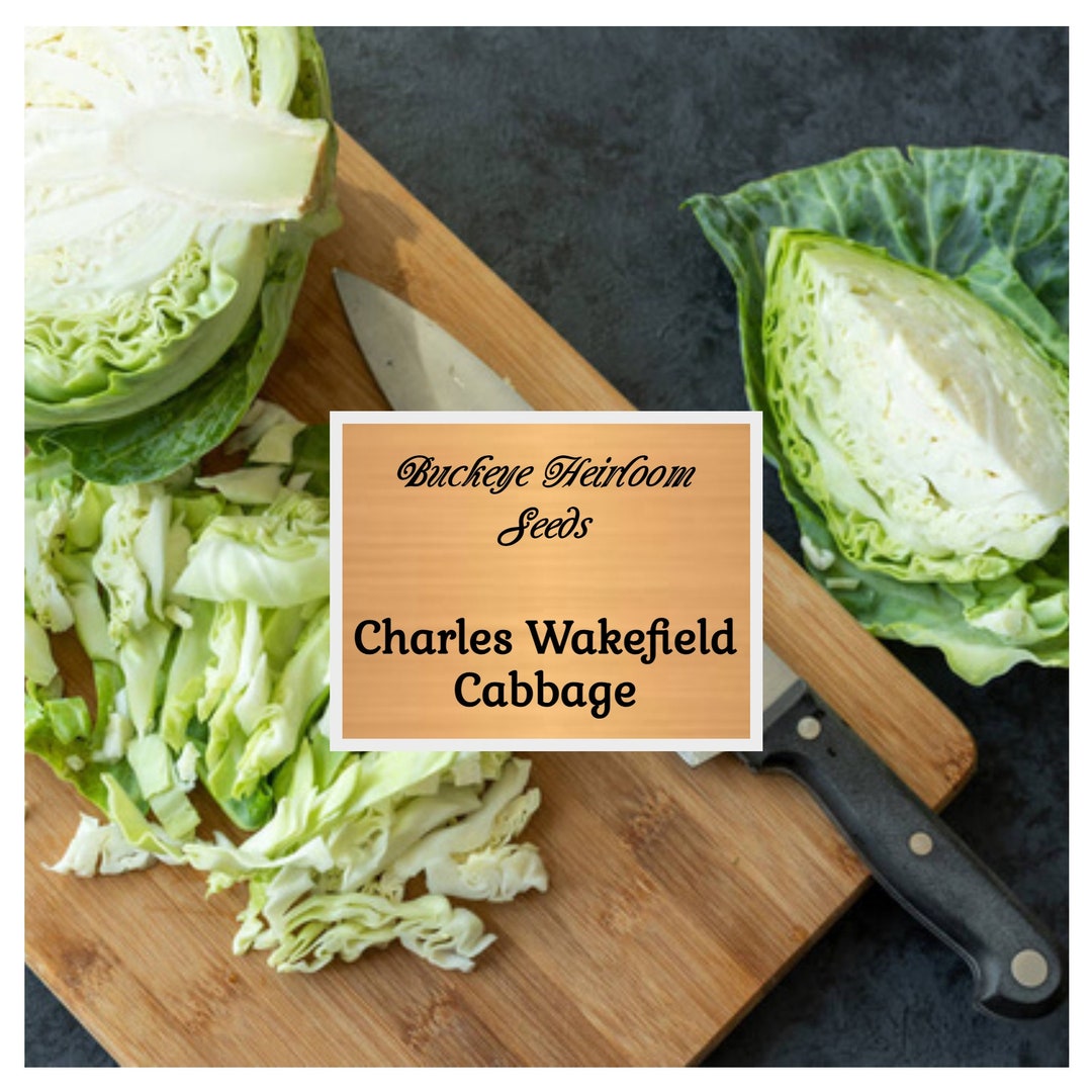 Charleston Wakefield Early Cabbage - Seeds - Heirloom - Brassica ...