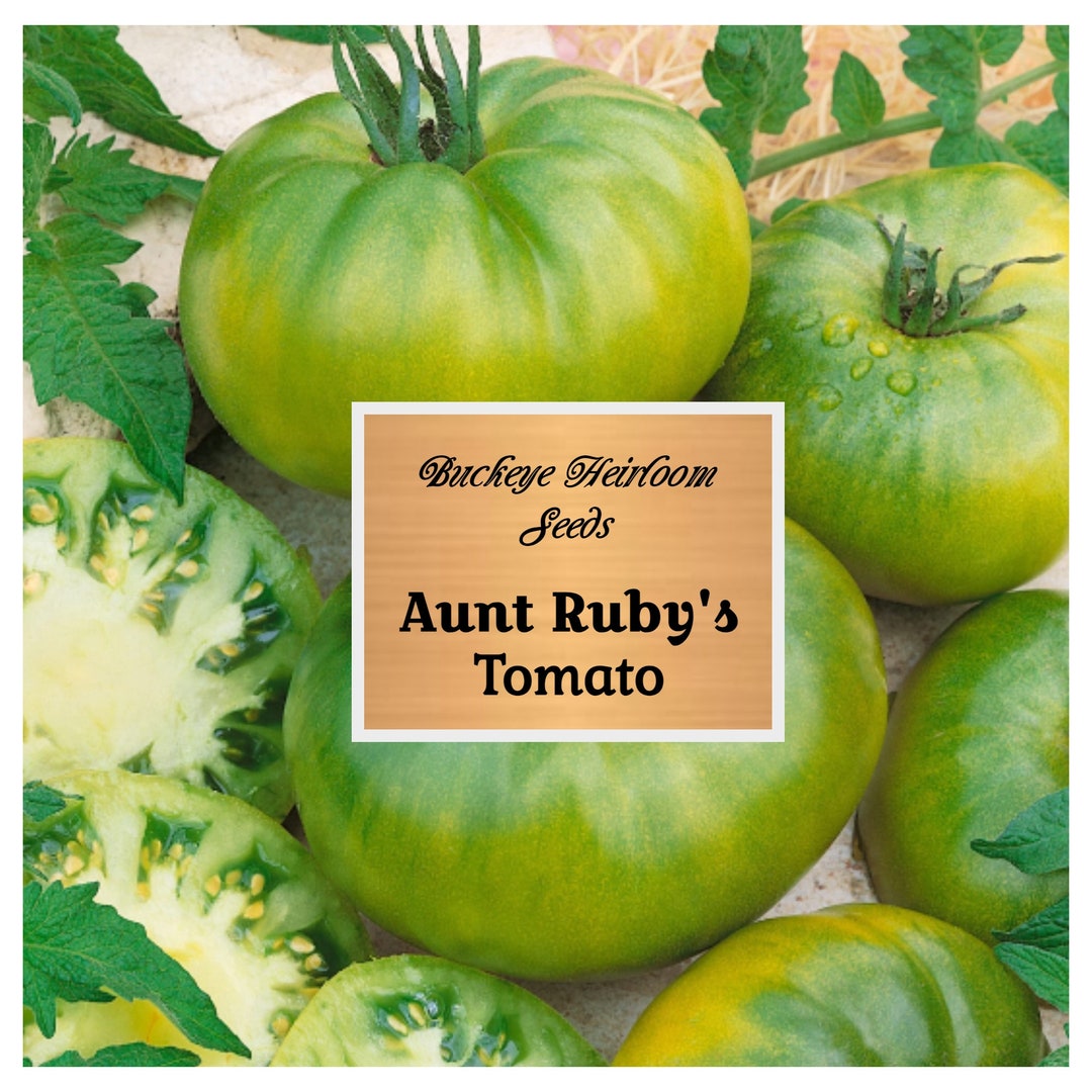 Tomato - Aunt Ruby Green -35 Seeds - Non-gmo - Heirloom - Buckeye Heirloom Seeds - Etsy