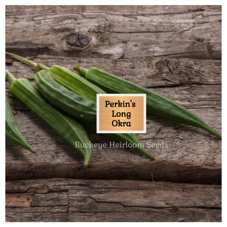 Perkins Long Pod Okra Seeds -heirloom - Early Harvest - High Yield ...