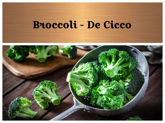 Broccoli De Cicco 200 Seeds Italian Heirloom Non GMO | Etsy