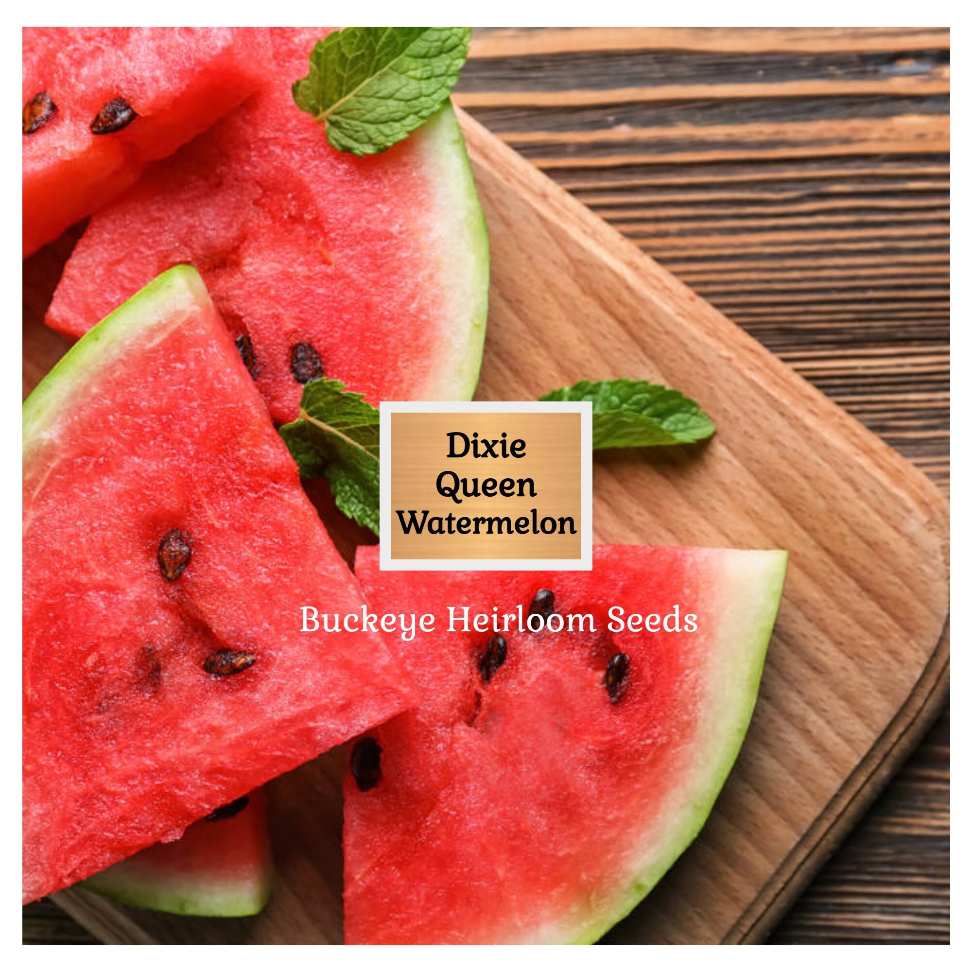 Watermelon, Dixie Queen Seeds - Heirloom - Buckeye Heirloom Seeds - Etsy