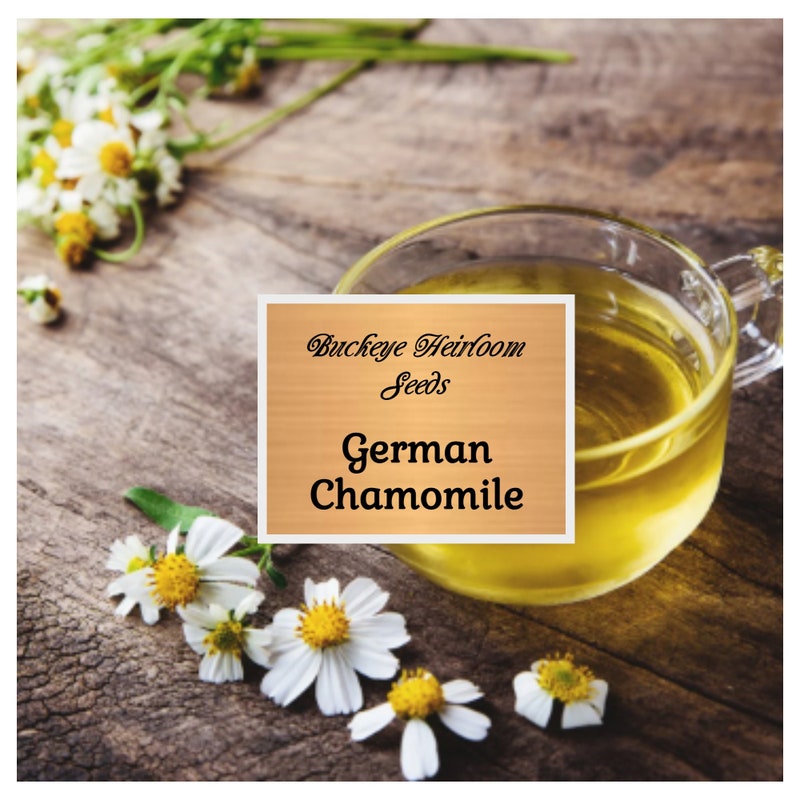 Germany Tea - Etsy