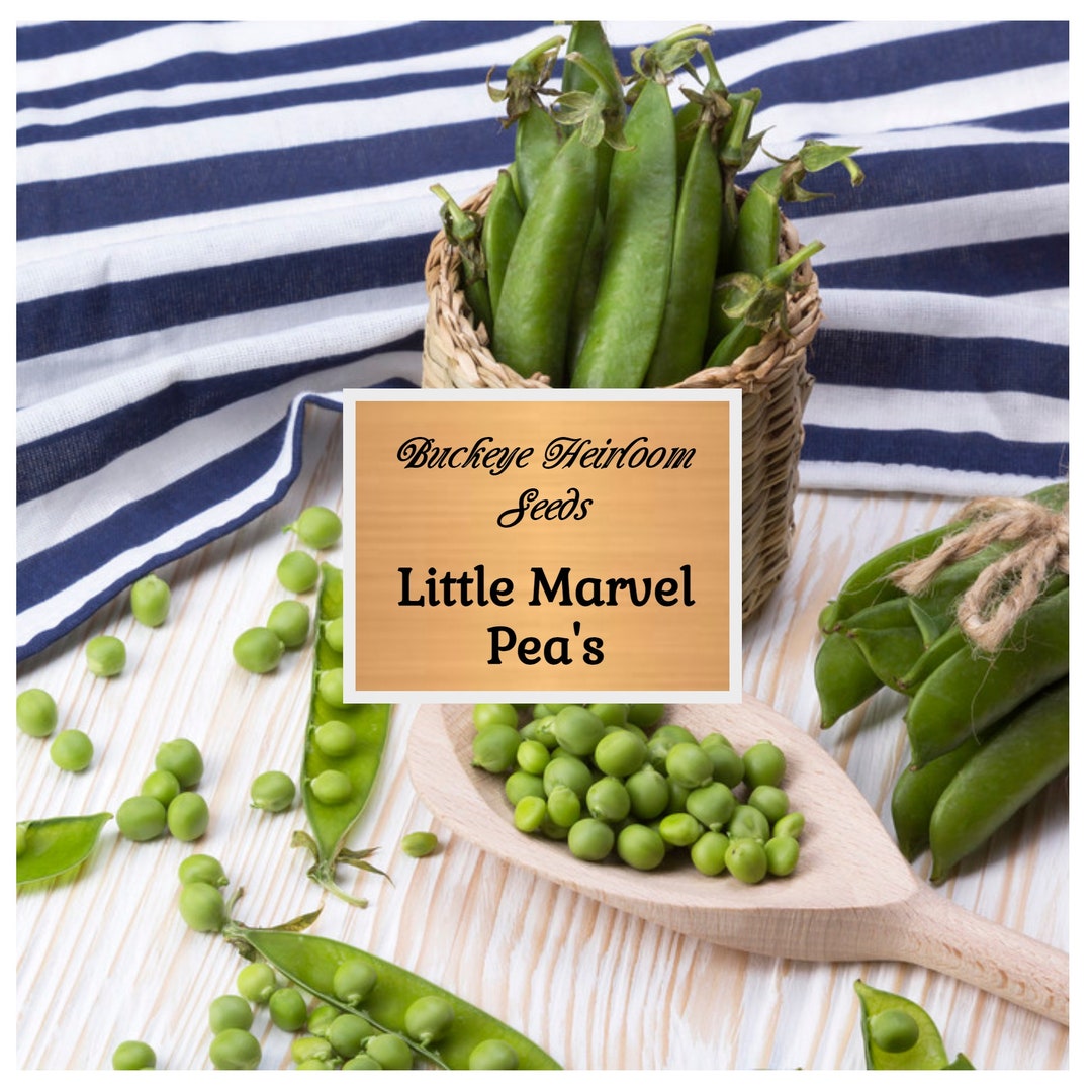 Little Marvel - Pea Seeds - Sweet Peas - Heirloom - Non Gmo - Buckeye ...