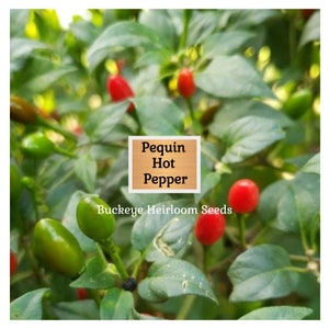 Pequin Hot Pepper - Seeds - Non-gmo - Heirloom - Etsy