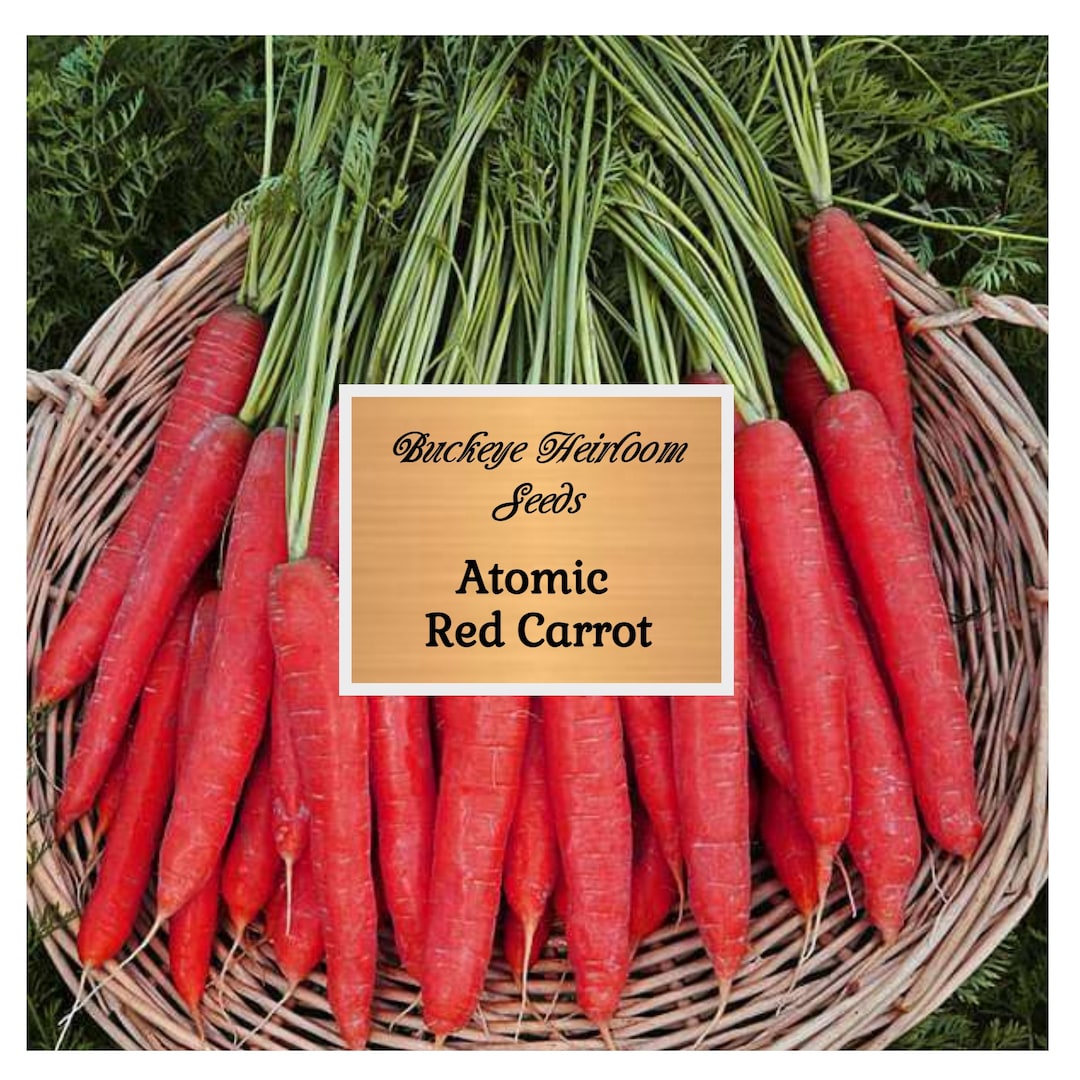 Carrots, Atomic Red - Seeds - Richly Flavored - Heirloom - Non GMO ...