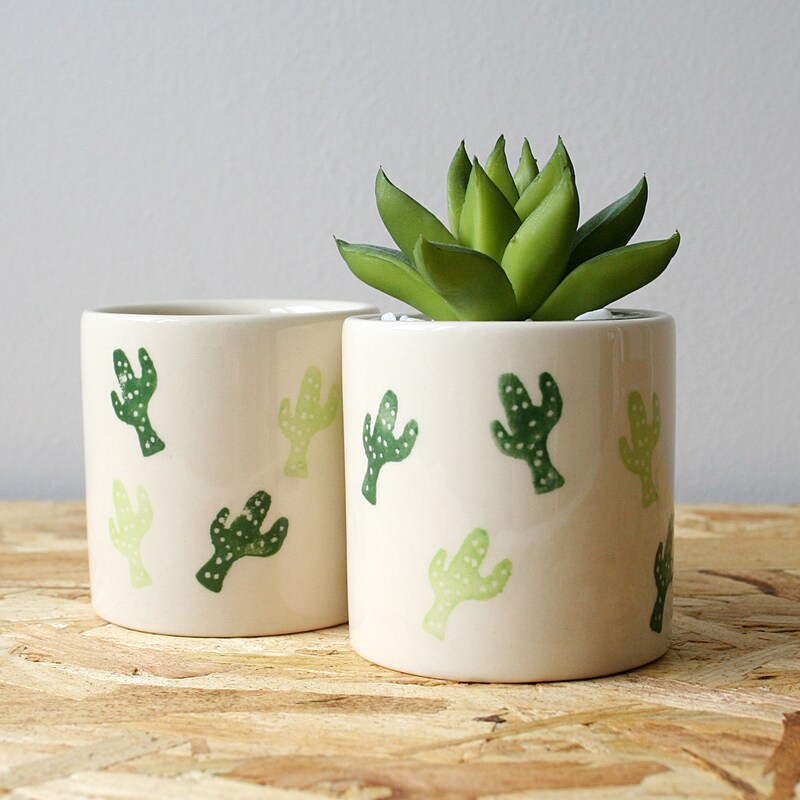 Cactus Pot - Etsy
