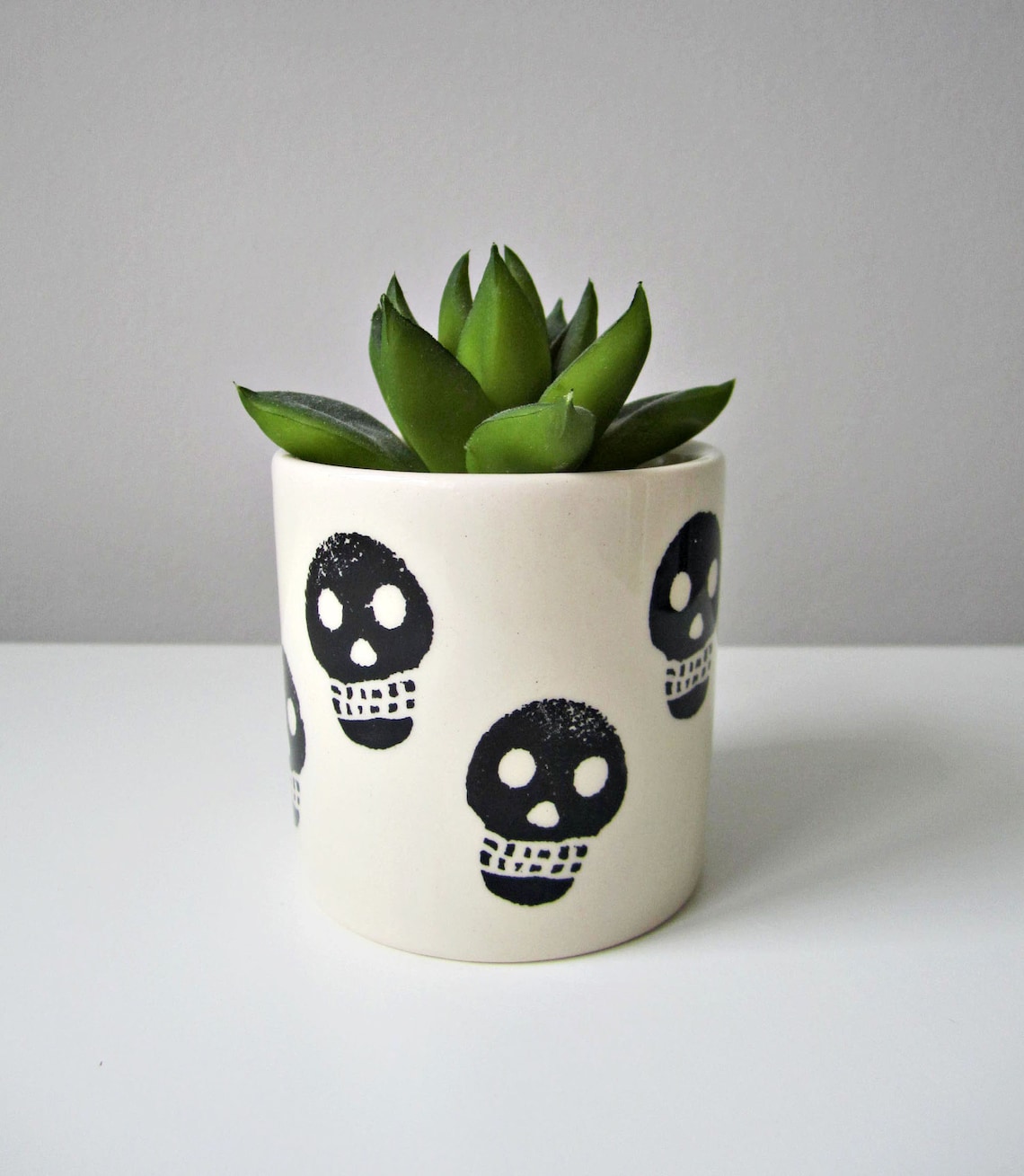 Skull Pot Cacti Pot Mini Ceramic Pot Skull Print Skull - Etsy