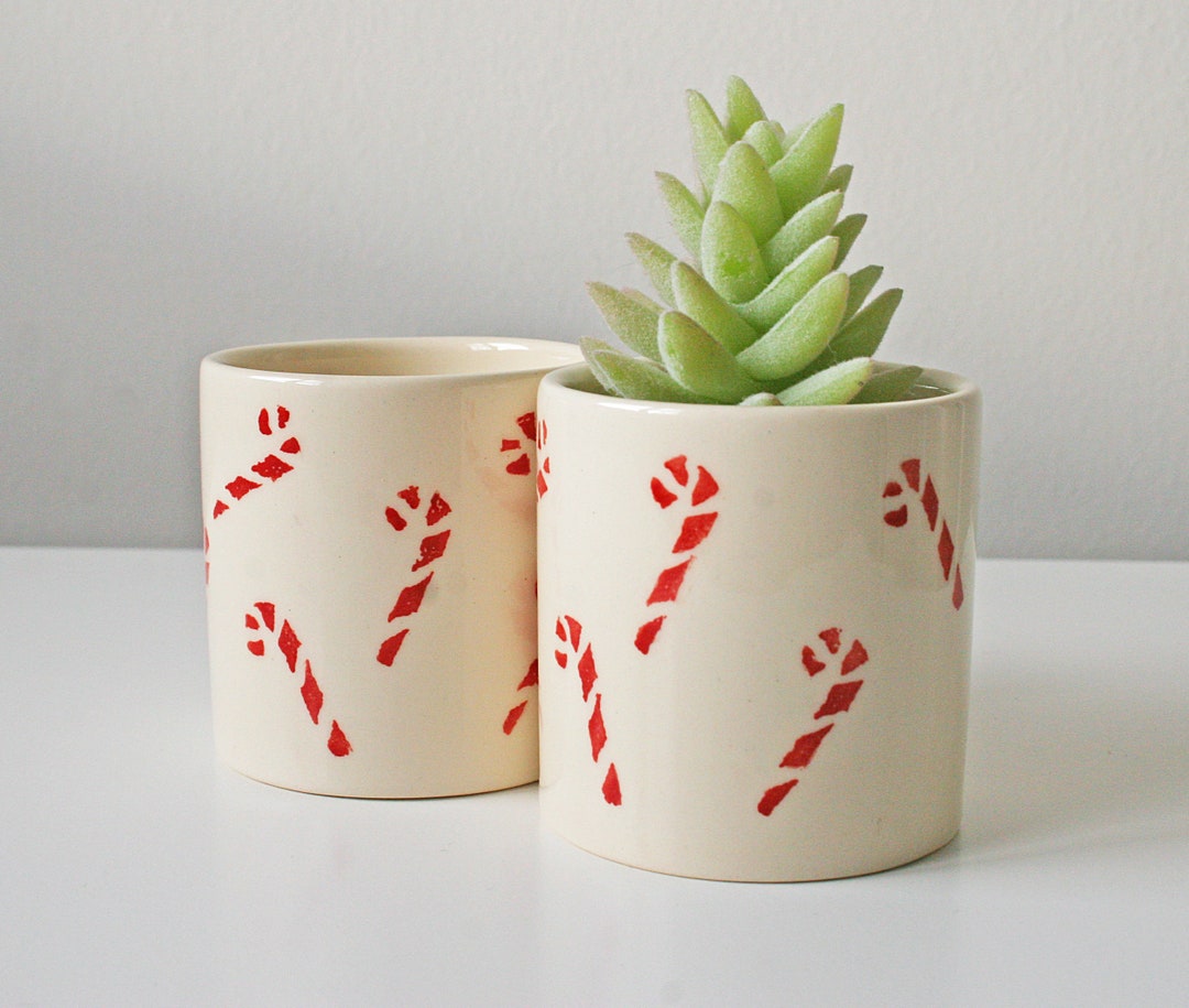 Candy Cane Pot - Cacti Pot - Festive Pot - Festive Cacti - Miniature ...