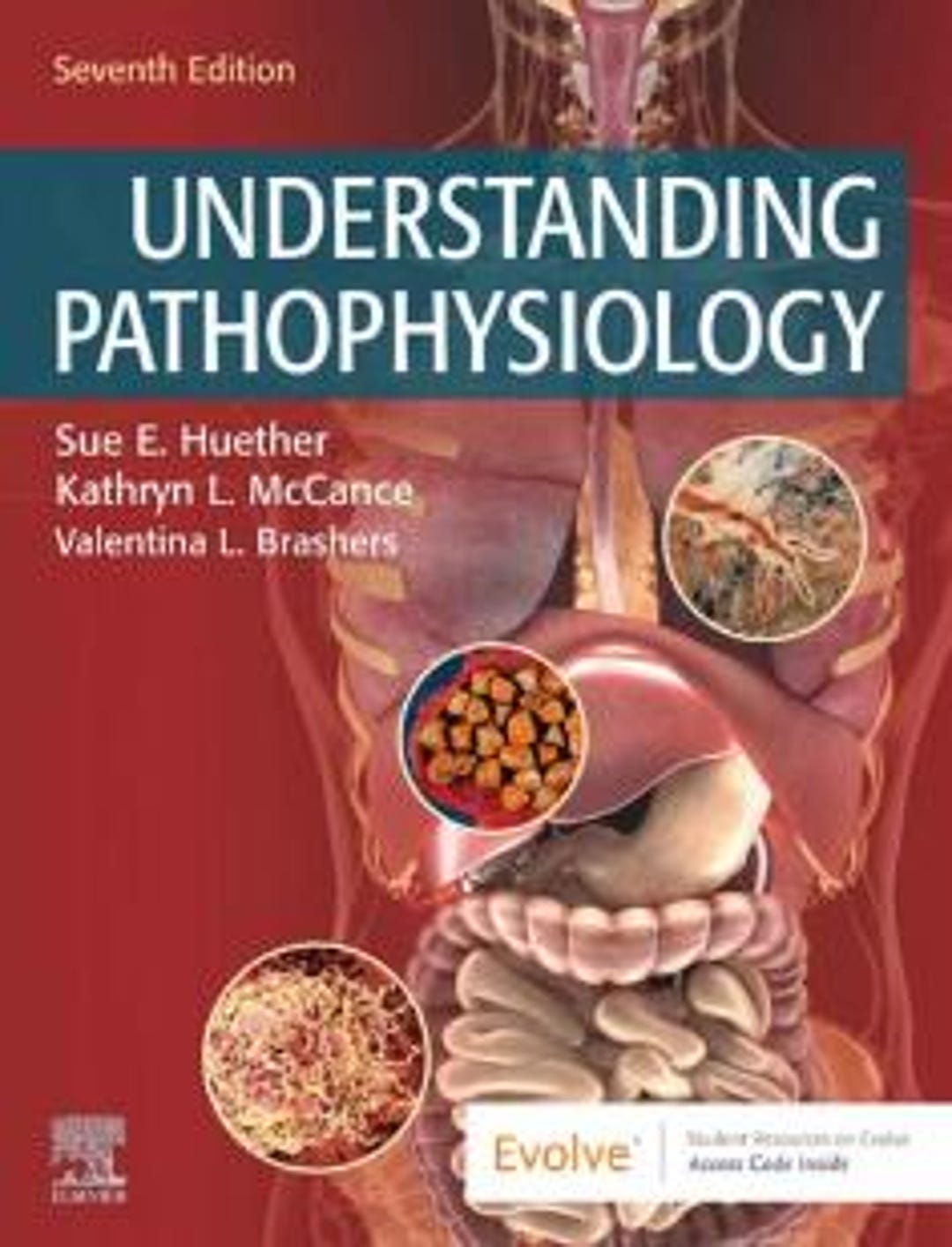 Understanding Pathophysiology 7th Edition - Etsy