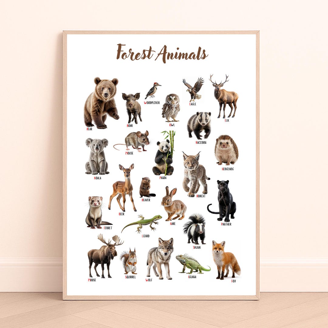Realistic Forest Animals Poster for Kids | Montessori Educational Wall ...