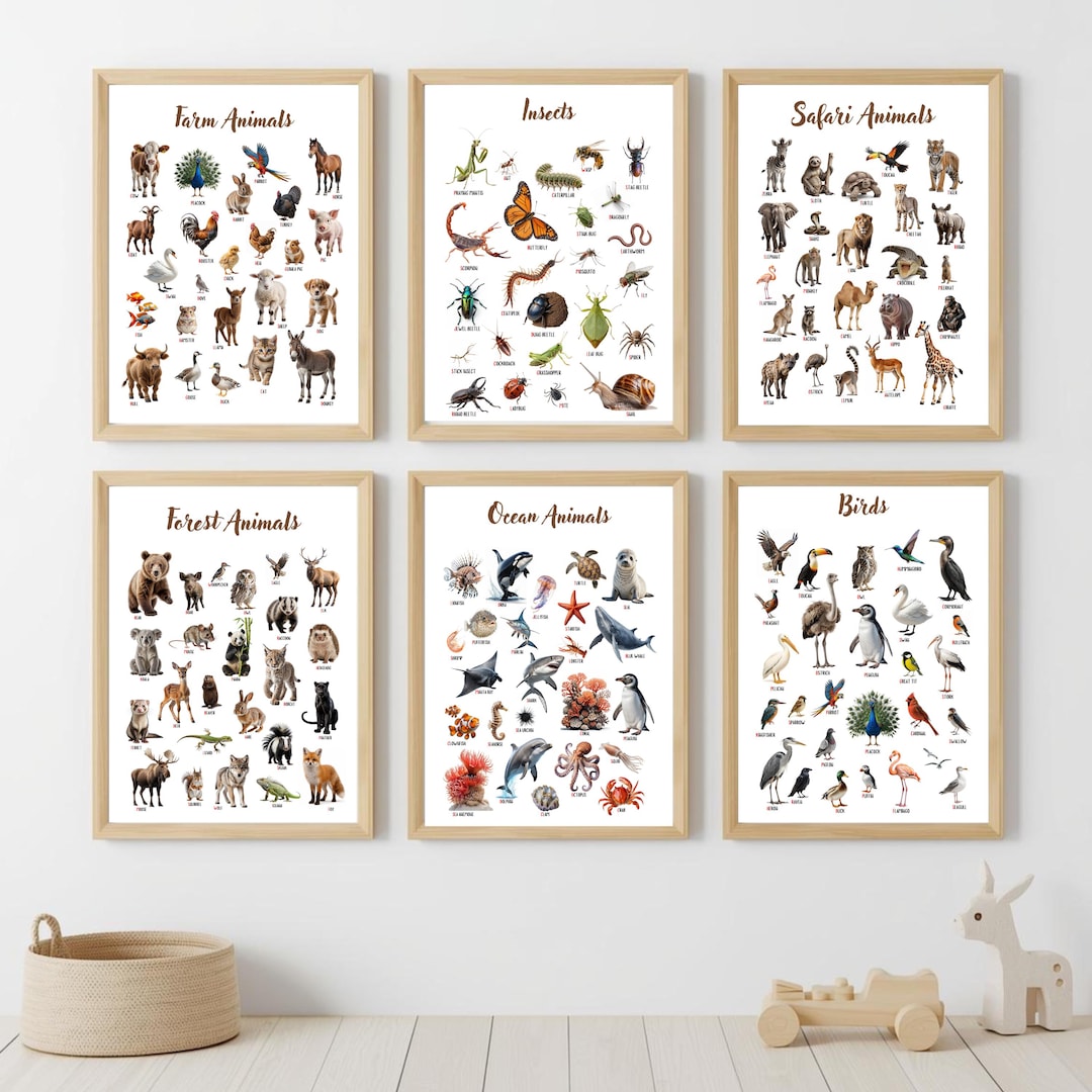 Realistic Animals Posters Bundle for Kids | Farm, Safari, Ocean, Forest ...