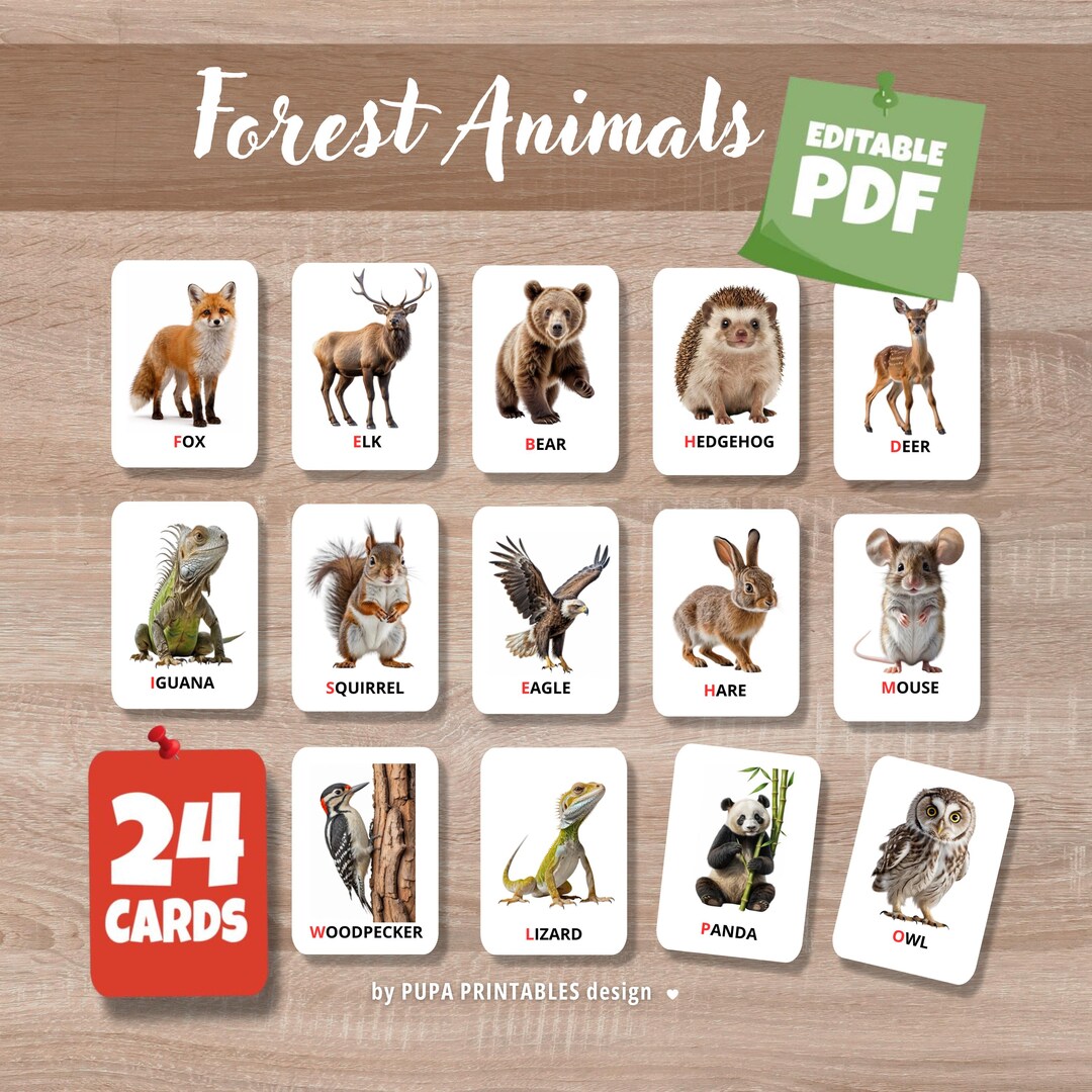 Realistic Forest Animals Flashcards for Kids | 24 Montessori Editable ...