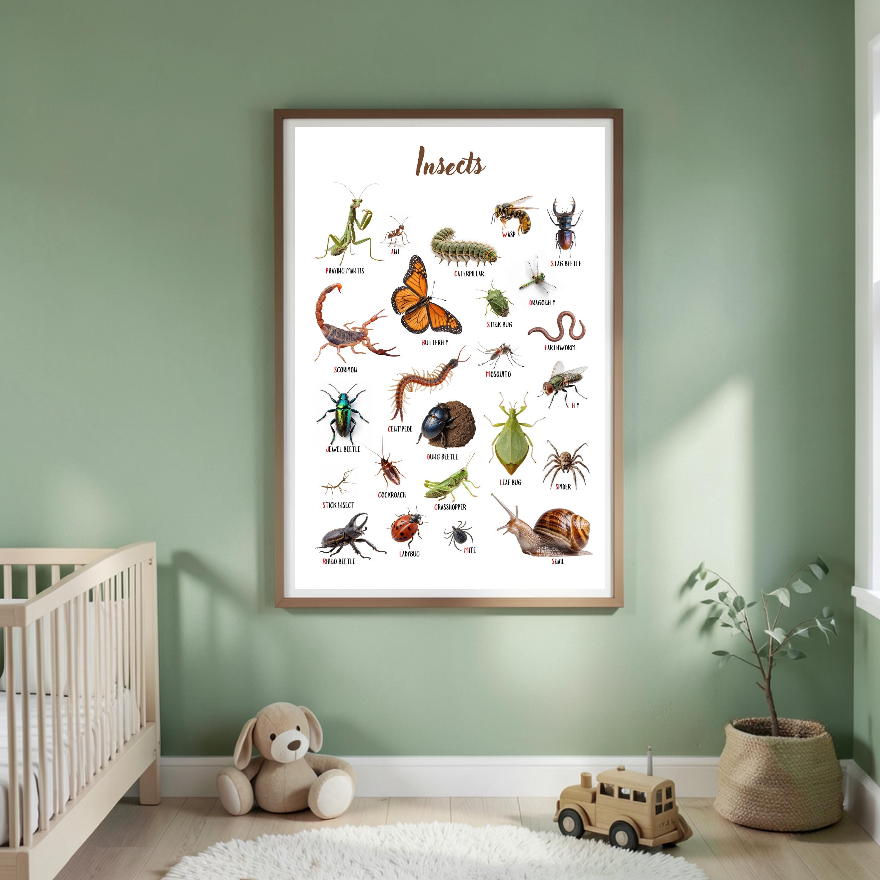 Realistic Insects Poster for Kids | Montessori Educational Wall Art ...