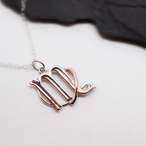Miniature Virgo Scorpio Necklace Sterling Silver and Polished Copper ...