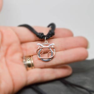 Taurus Cancer Necklace Sterling Silver and Polished Copper Combined ...