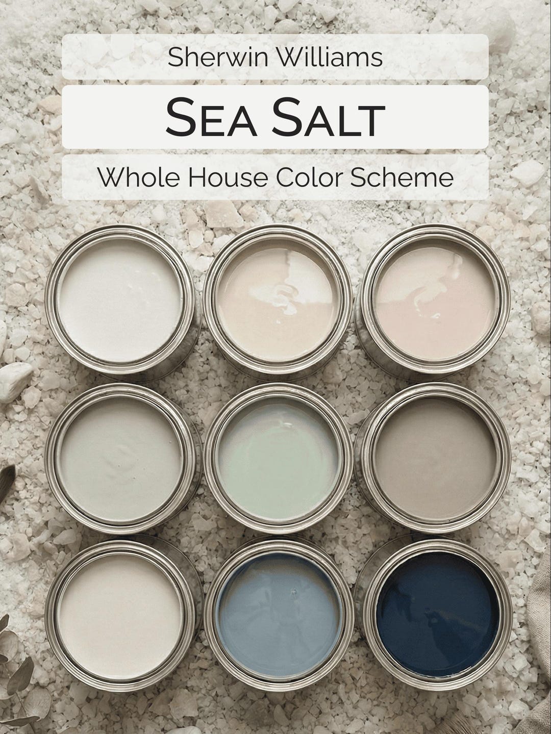 Sherwin Williams Sea Salt Color Palette Coastal Paint Colors Whole ...