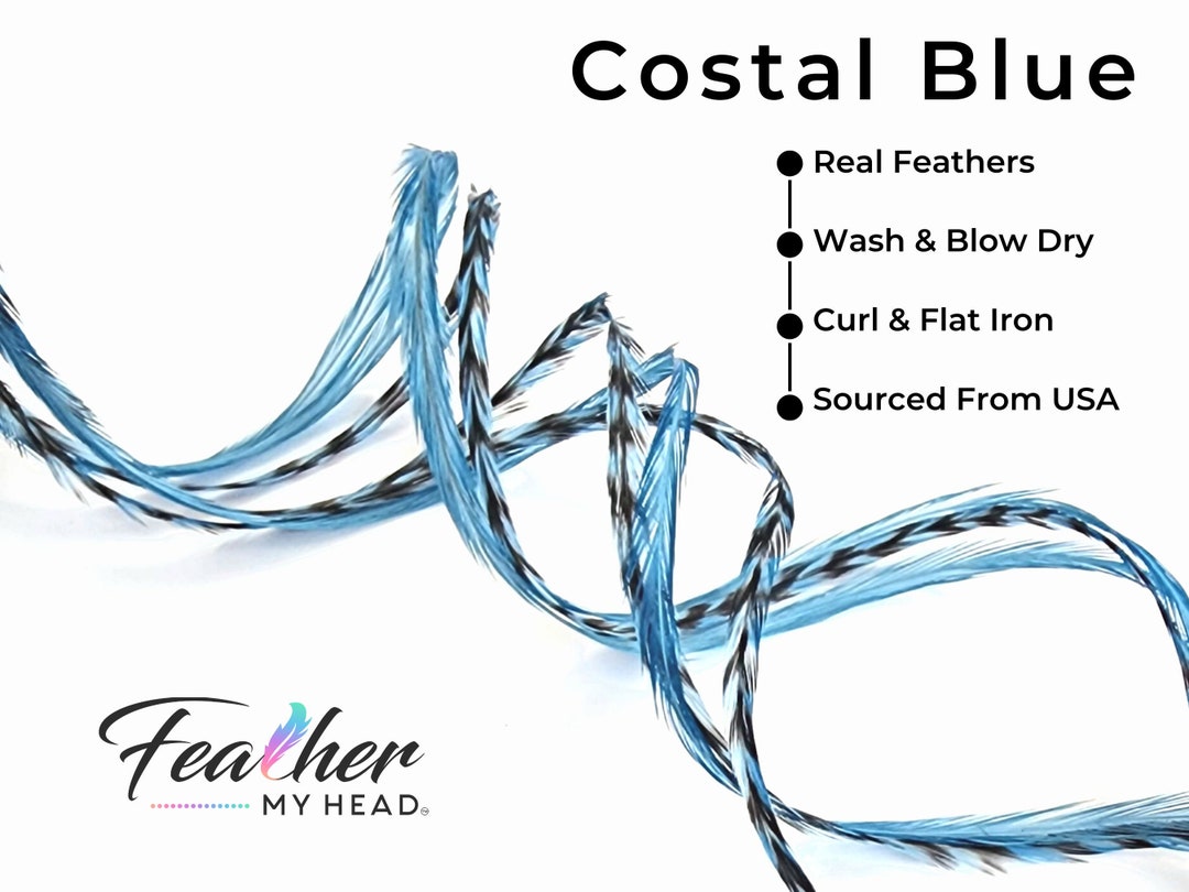 Costal Blue Hair Feather Extensions. (6) Feathers, Long Lengths and ...