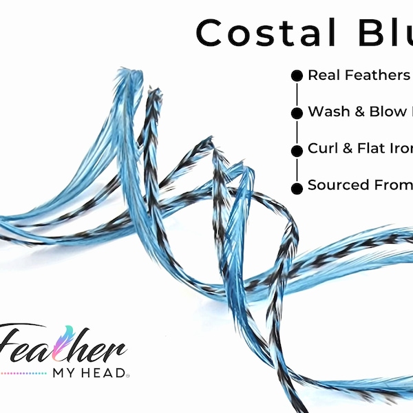 Blue Feather - Etsy