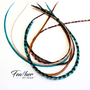 Feather Hair Extension Kit, 6 Real Feathers, Pick Your Length Short to ...