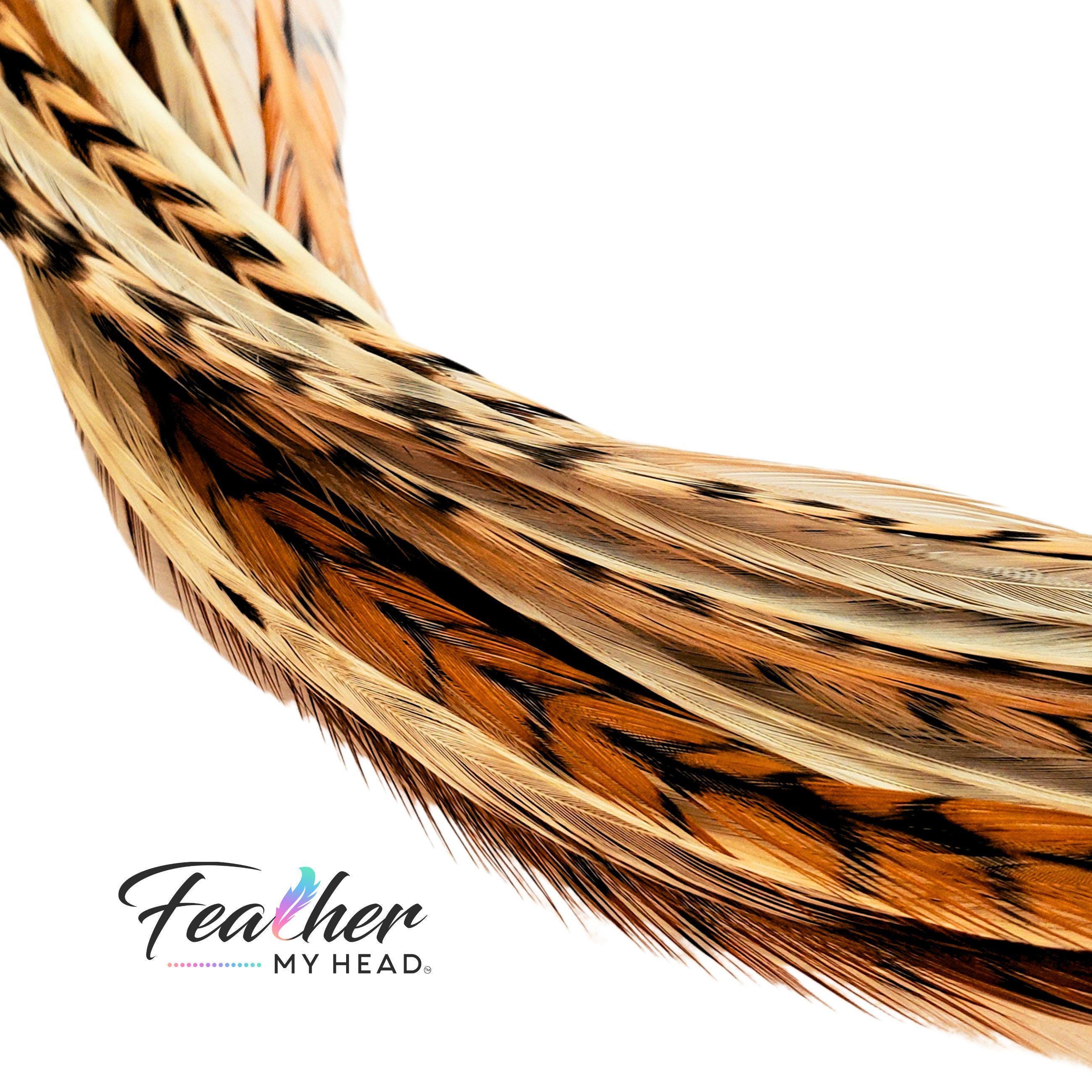 Premium Hair Feather Extensions - Hair Feathers, 16 Real Feathers ...