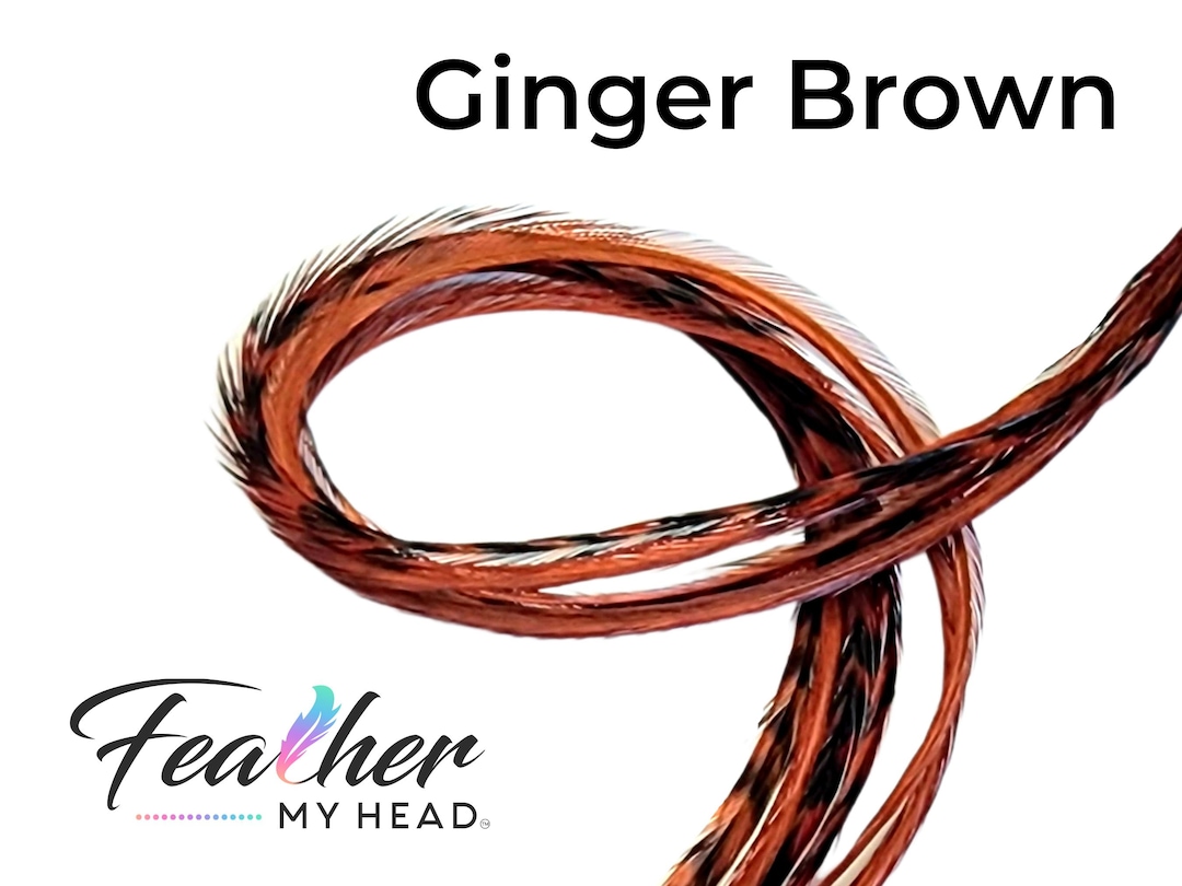 Ginger Brown Hair Feather Extensions. (1) Feather, Long Lengths and ...