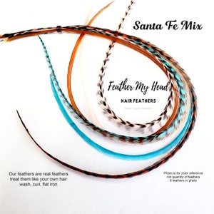 Feather Hair Extension Kit 6 Real Feathers Pick Your Length - Etsy