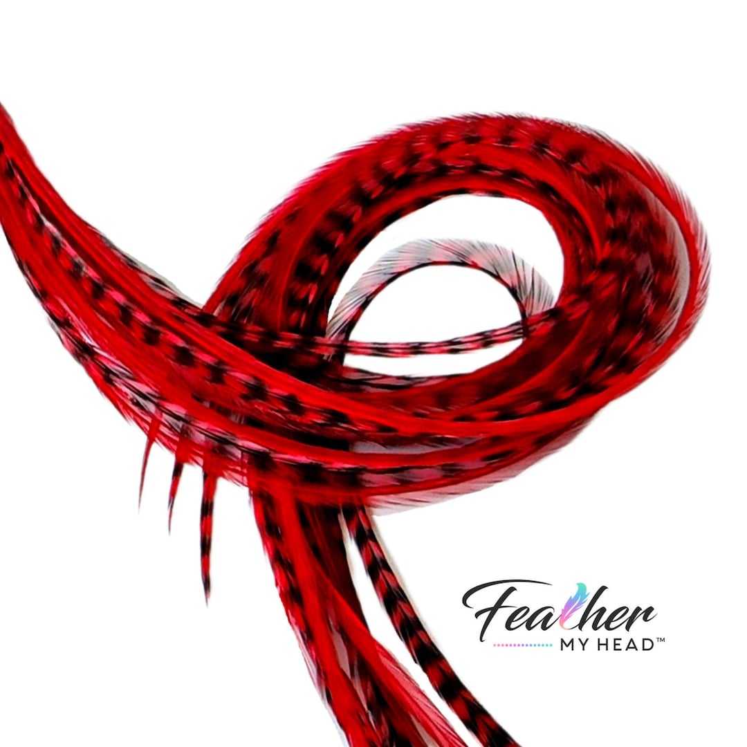 Red Hair Feather Extension Kit. 6 Real Feathers With Long Lengths ...