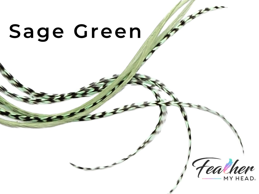 Sage Green Hair Feather Extension Kit With 6 Real Feathers in Lengths ...