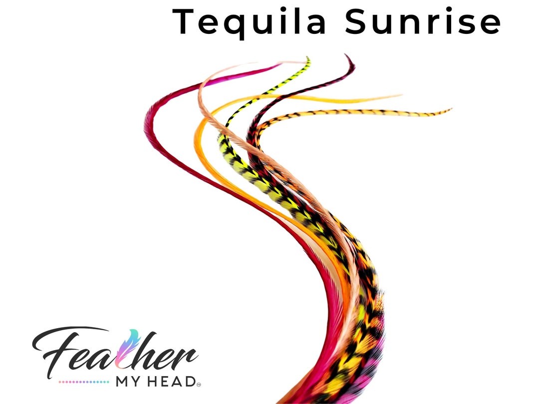 Tequila Sunrise Hair Feather Extensions - 6 Premium Hair Feathers Pick ...