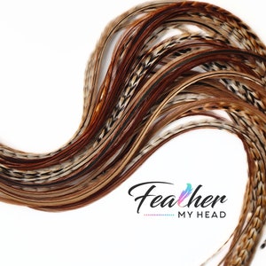 Barred Ginger Variant Hair Feathers, Rare and Unique - Pick Your Length ...