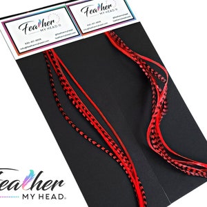 Red Hair Feather Extension Kit. 6 Real Feathers With Long Lengths ...