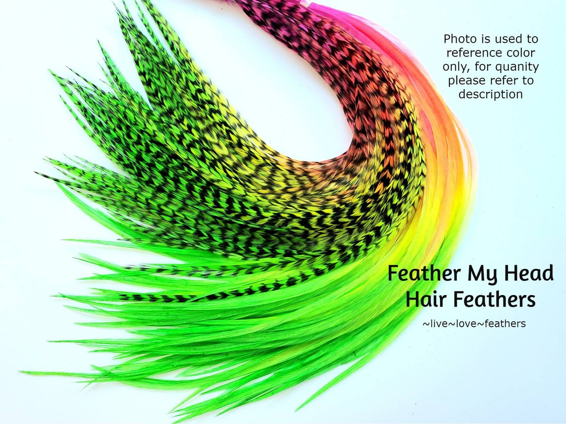 6 Real Feathers Optional Do It Yourself Kit Pick Your | Etsy