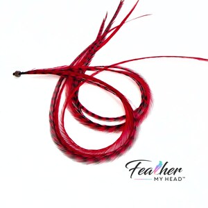 Red Hair Feather Extension Kit. 6 Real Feathers With Long Lengths ...