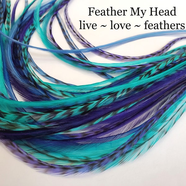 Feather - Etsy