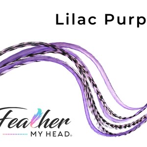 Lilac Purple Hair Feather Extensions, Pick Your Length With Feathers ...