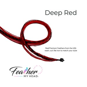 Deep Red Hair Feather Extension in Long Lengths up to 16 Long. Feather ...