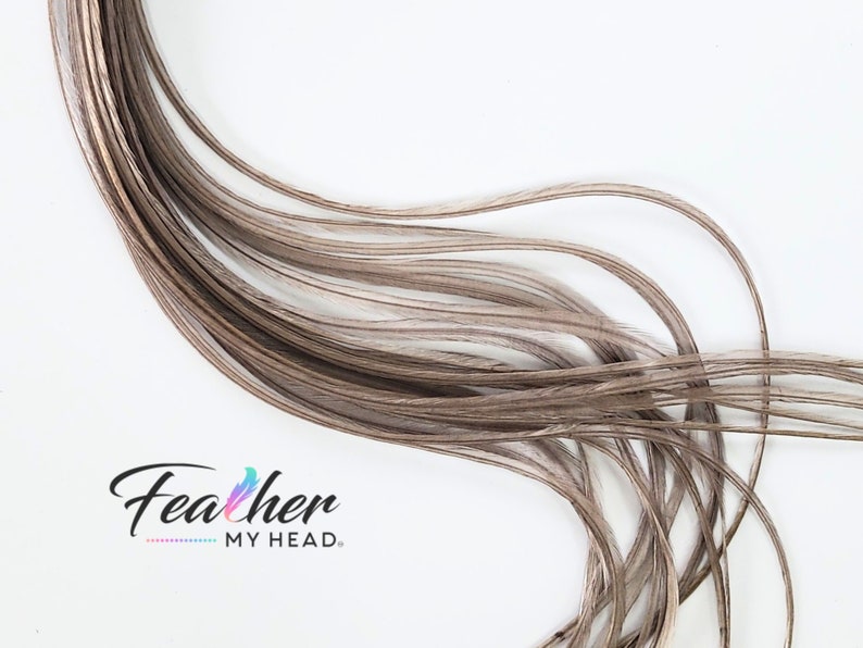 Light Gray Dun Hair Feather Extensions, Pick Your Length up to 16 Plus ...