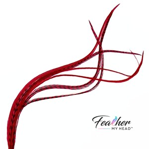 Red Hair Feather Extension Kit. 6 Real Feathers With Long Lengths ...